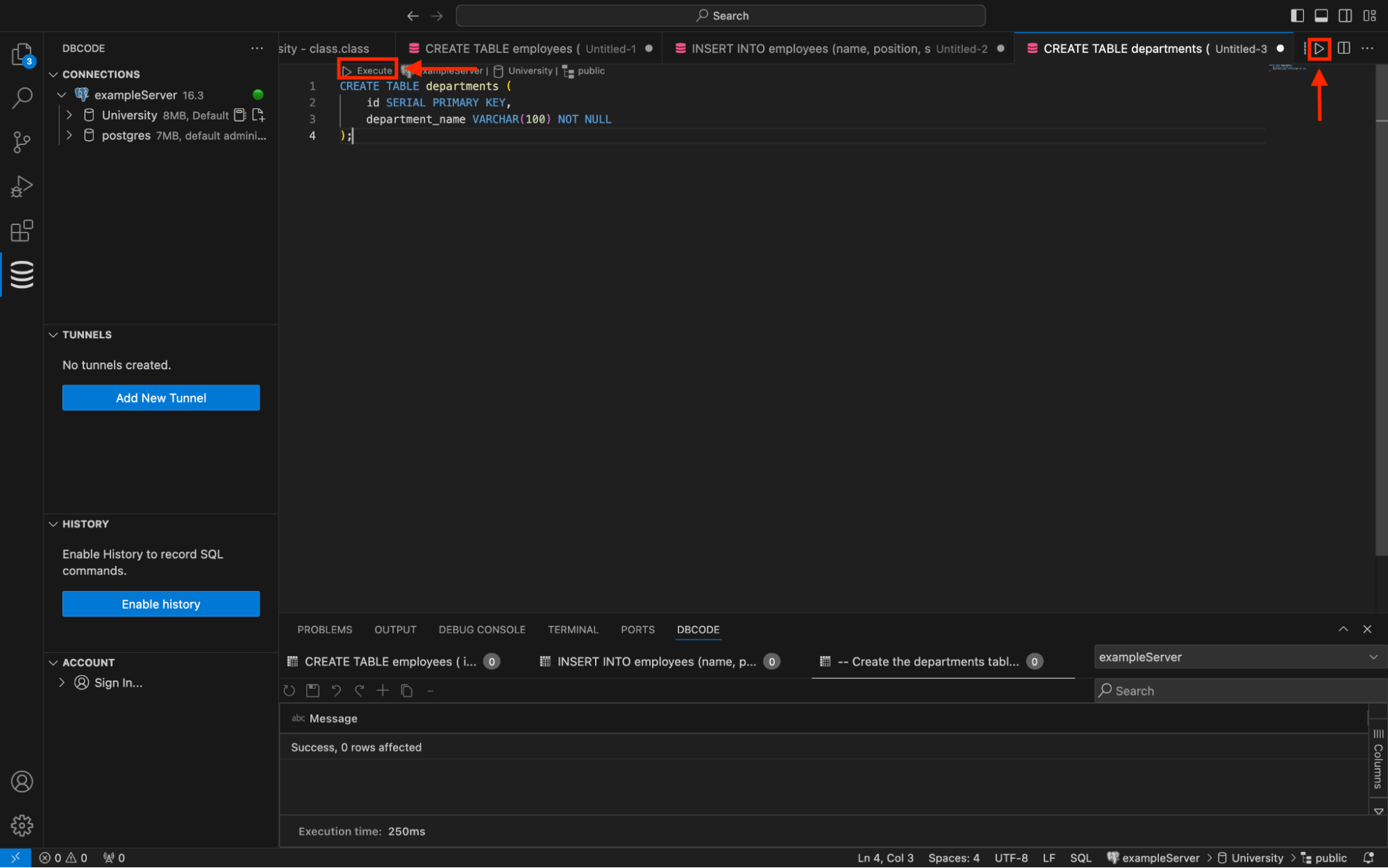 DBCode - Docs - Execute a Query