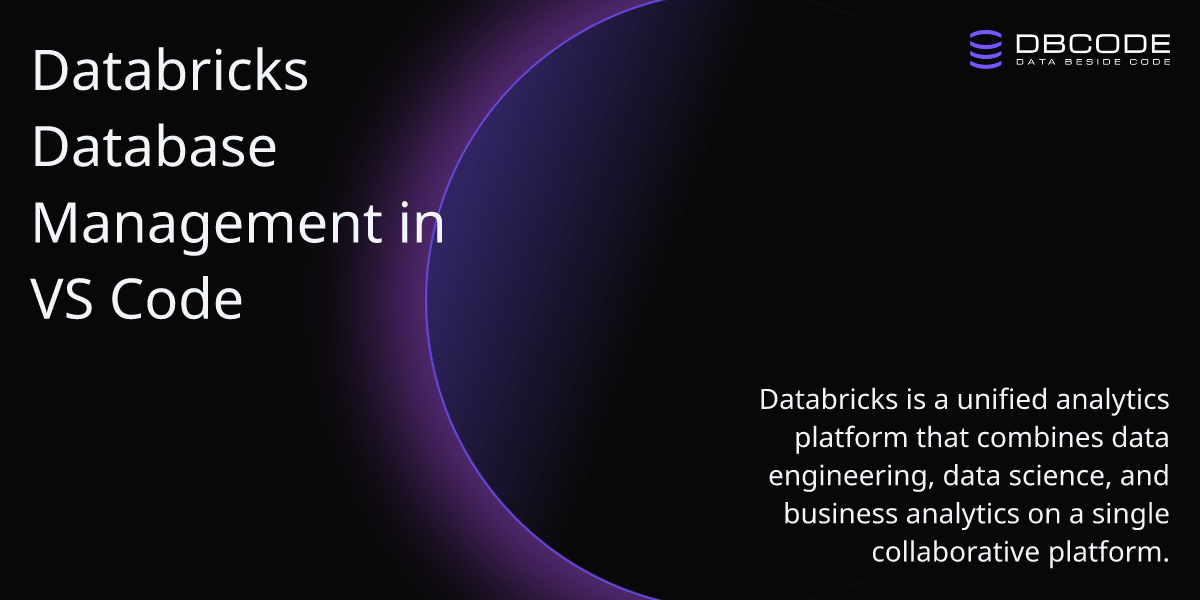 Databricks Database Management in VS Code | DBCode